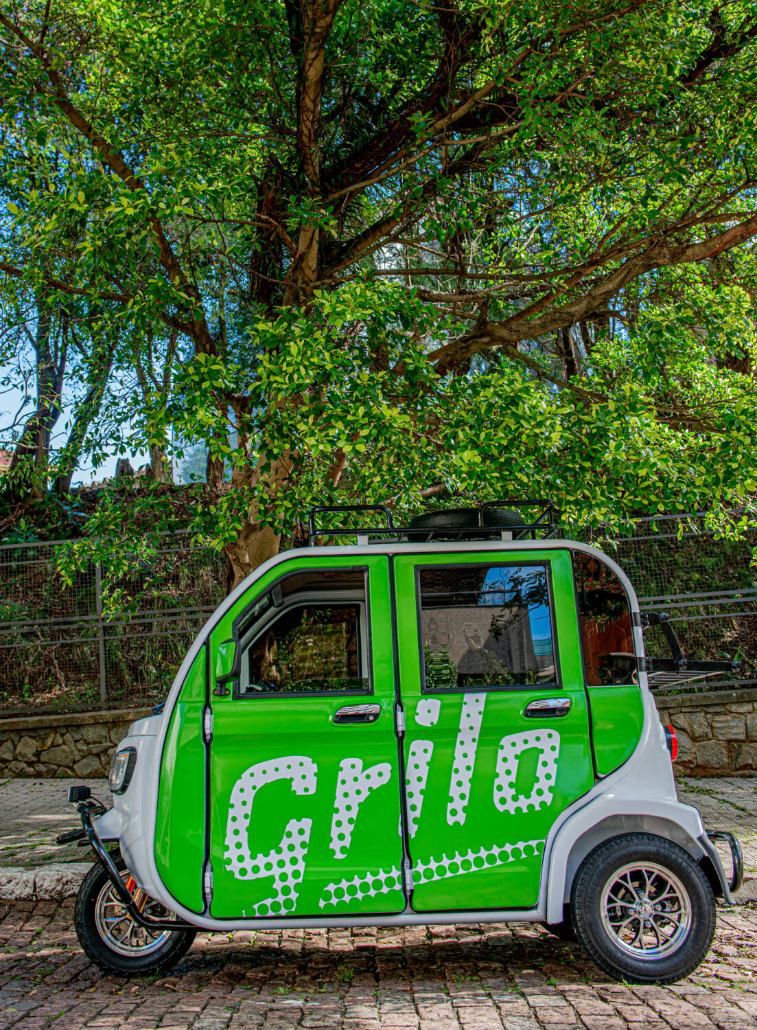 GRILO Mobilidade inicia programação de Mês do Meio Ambiente com pulos ...